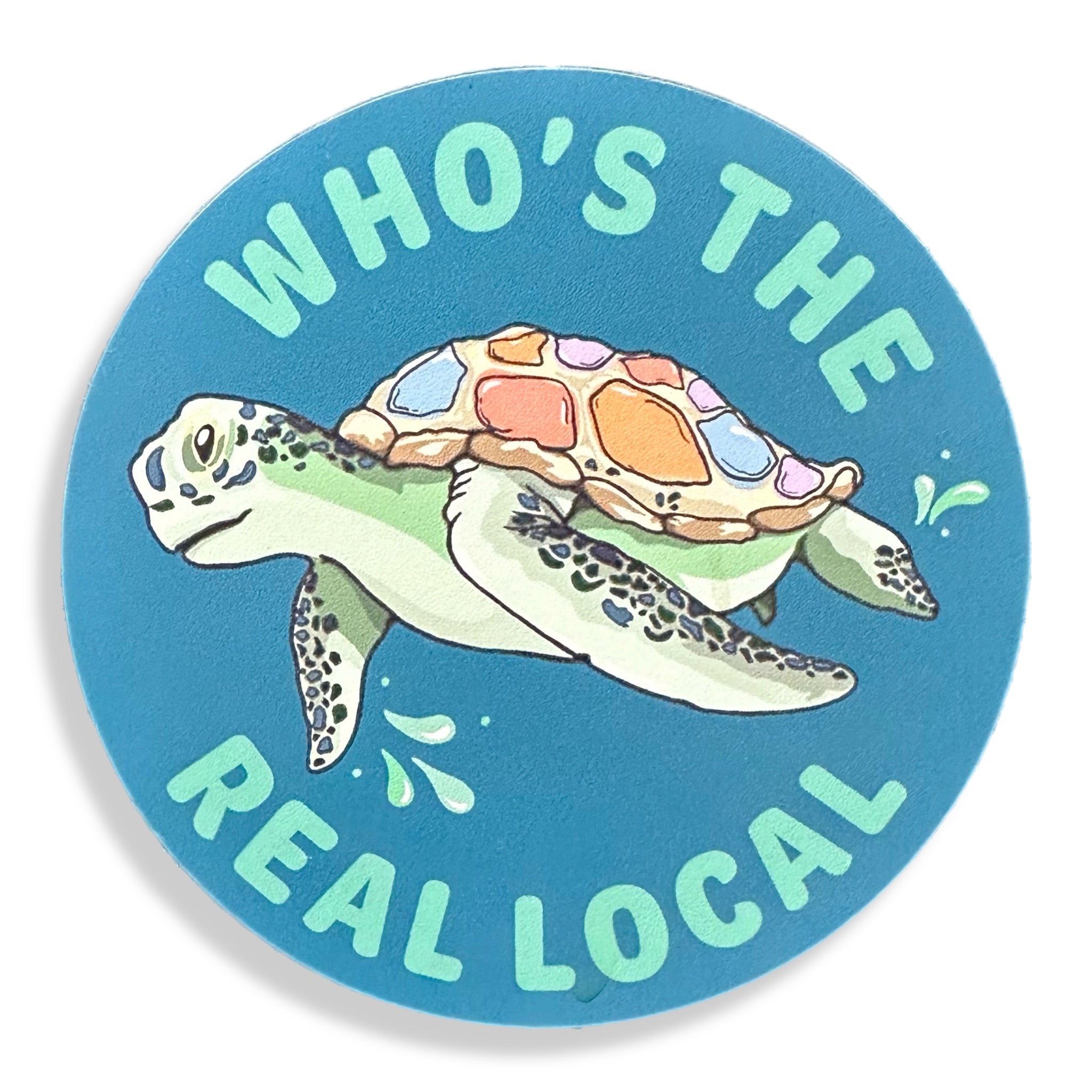 WTRL Turtle - Pcola Magnet – Waterboyz