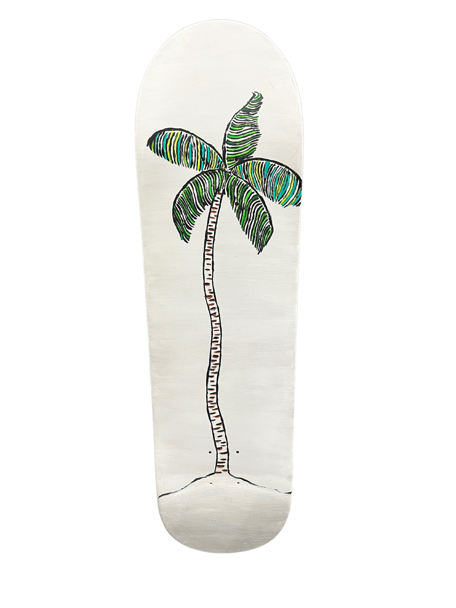 Coastal Palm – Waterboyz