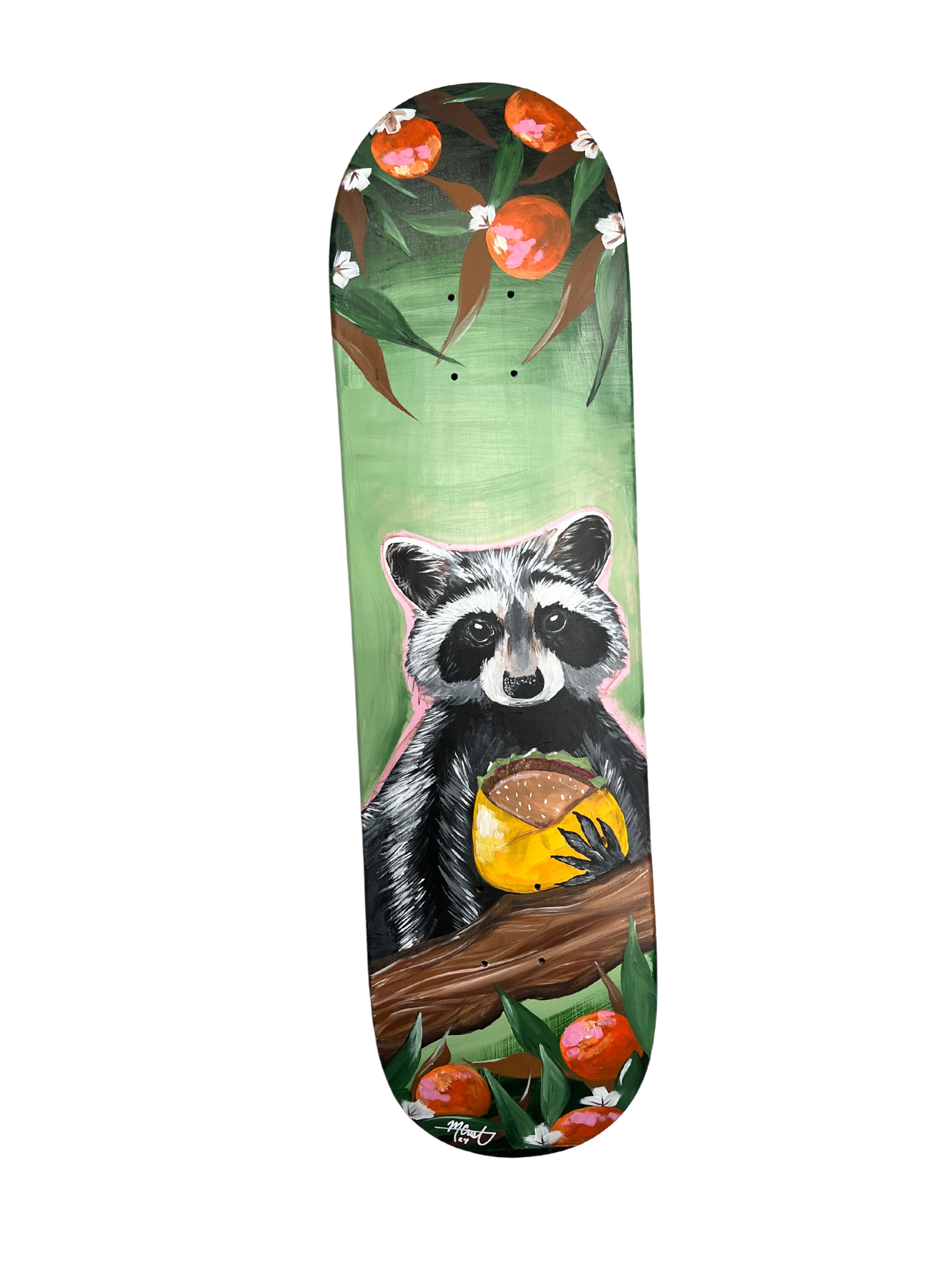 The Florida Raccoon – Waterboyz