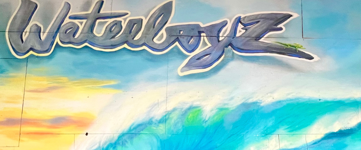 Waterboyz Surf & Skate Shop and WBZ Surfboards